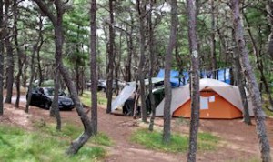 Best camping on Cape Cod near the beach, quiet & tenting focused ...
