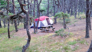CAPE COD campgrounds near BEACH - About our Facilities