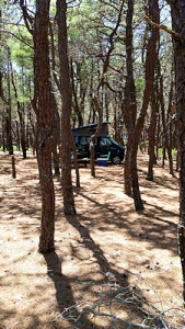 Best camping on Cape Cod near the beach, quiet & tenting focused ...