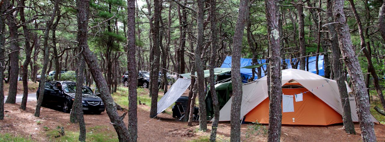 Cape Cod campsites tenting - North of Highland Camping Area